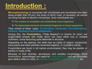 Foraminifera Microscope Slide Labeled