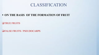 Morphology of Fruit - Dr Akhilraj A R | PPTX