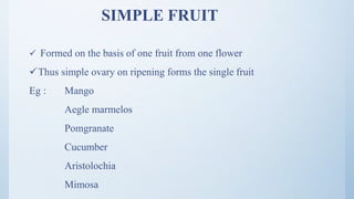 Morphology of Fruit - Dr Akhilraj A R | PPTX