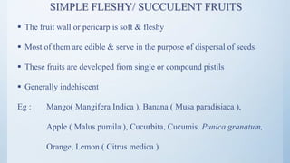 Morphology of Fruit - Dr Akhilraj A R | PPTX