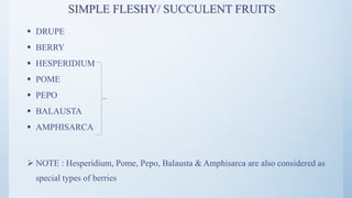 Morphology of Fruit - Dr Akhilraj A R | PPTX