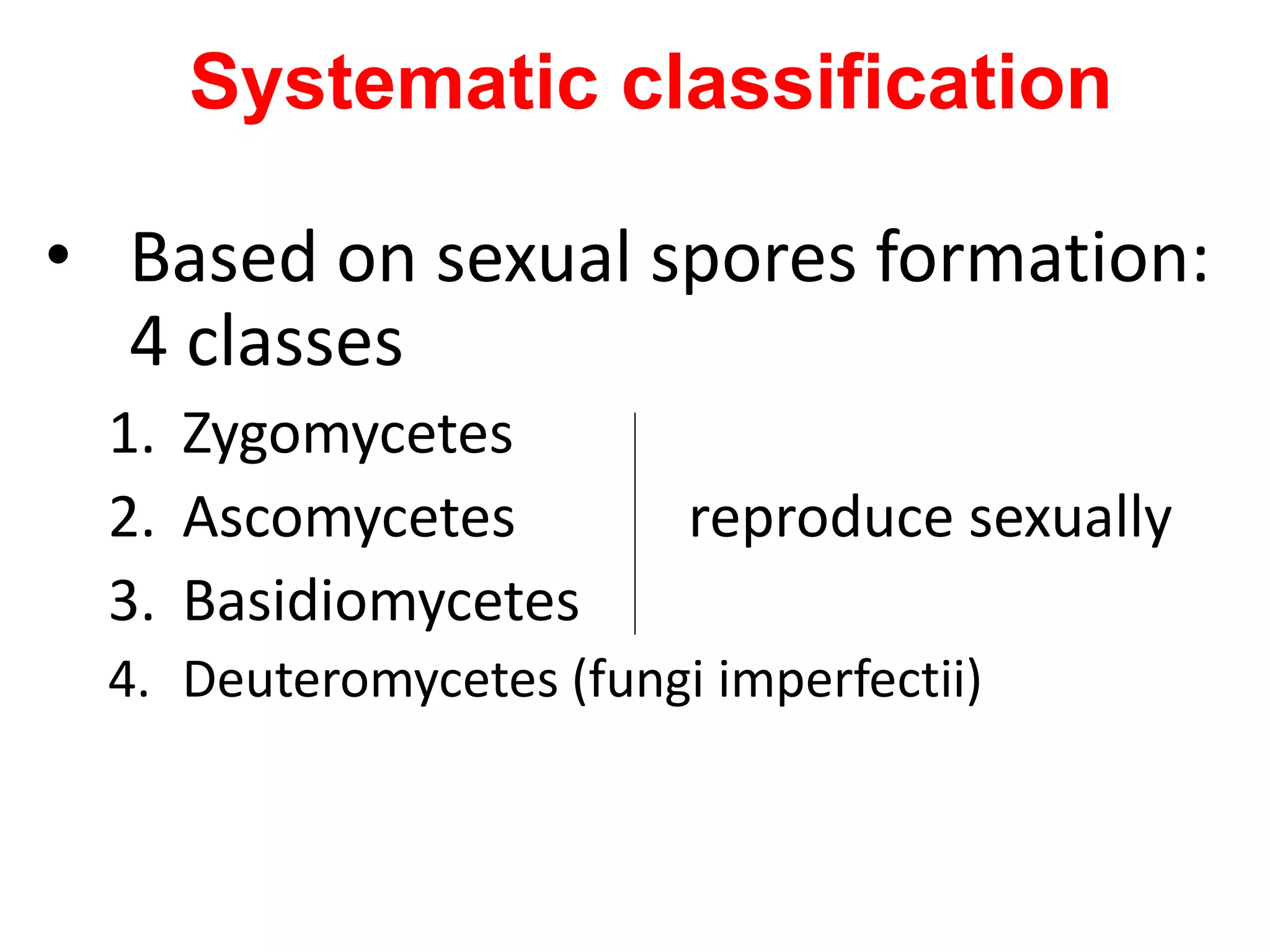Morphology of fungi | PPTX