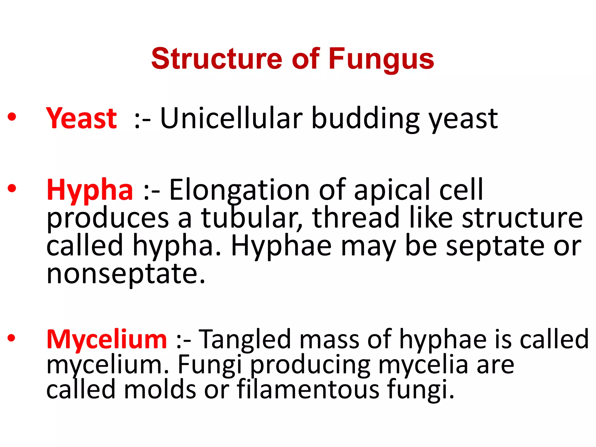 Morphology of fungi | PPTX