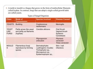 Morphology and classification of fu..ngi