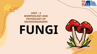 Morphology of Fungi - definition, types etc | PPTX