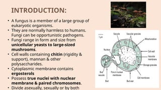 Morphology of Fungi - definition, types etc | PPTX