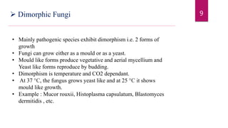 Morphology of Fungi || Fungi || Pharmaceutical Microbiology || B ...