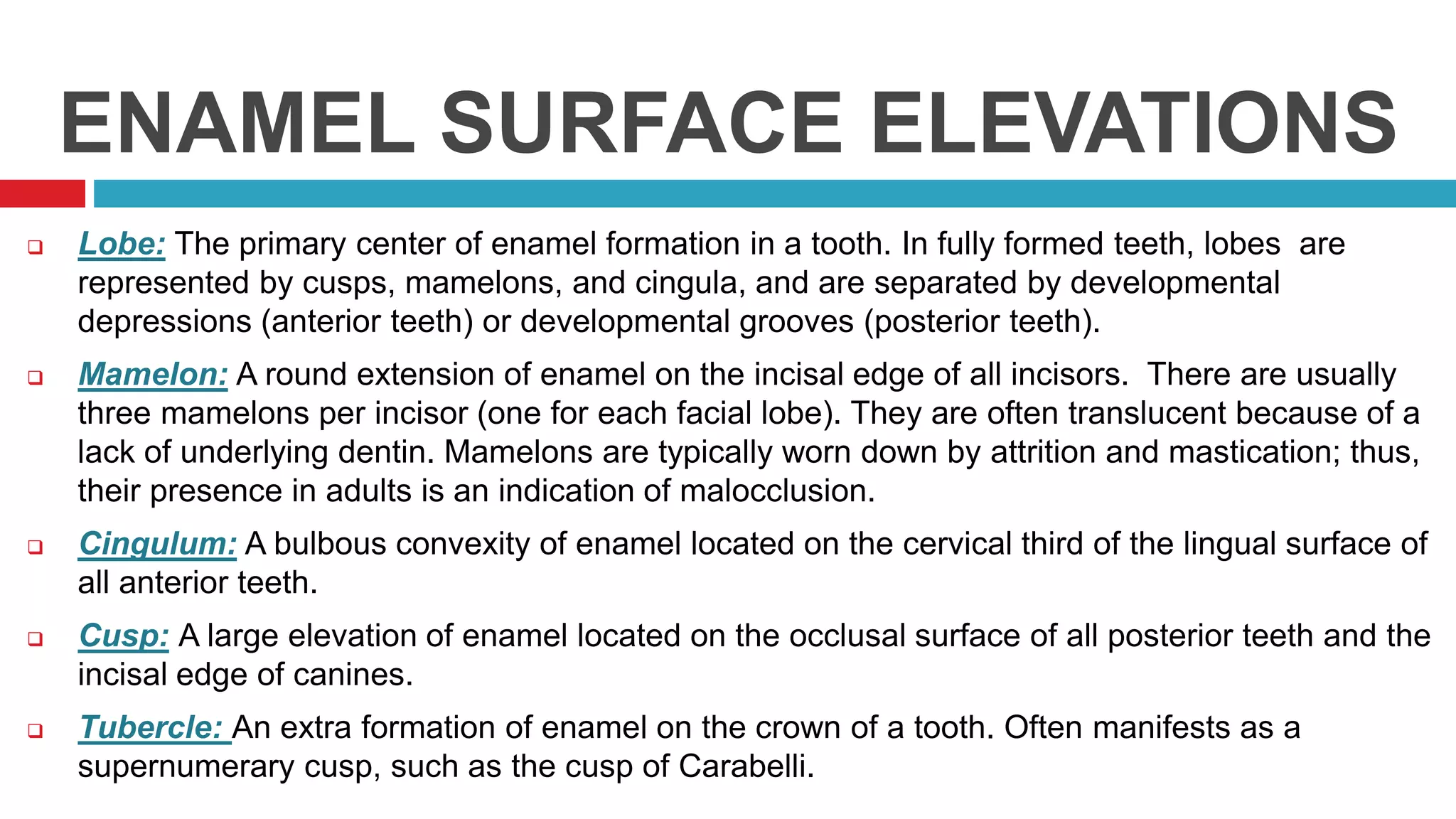 Morphology of human permanent dentition | PPTX