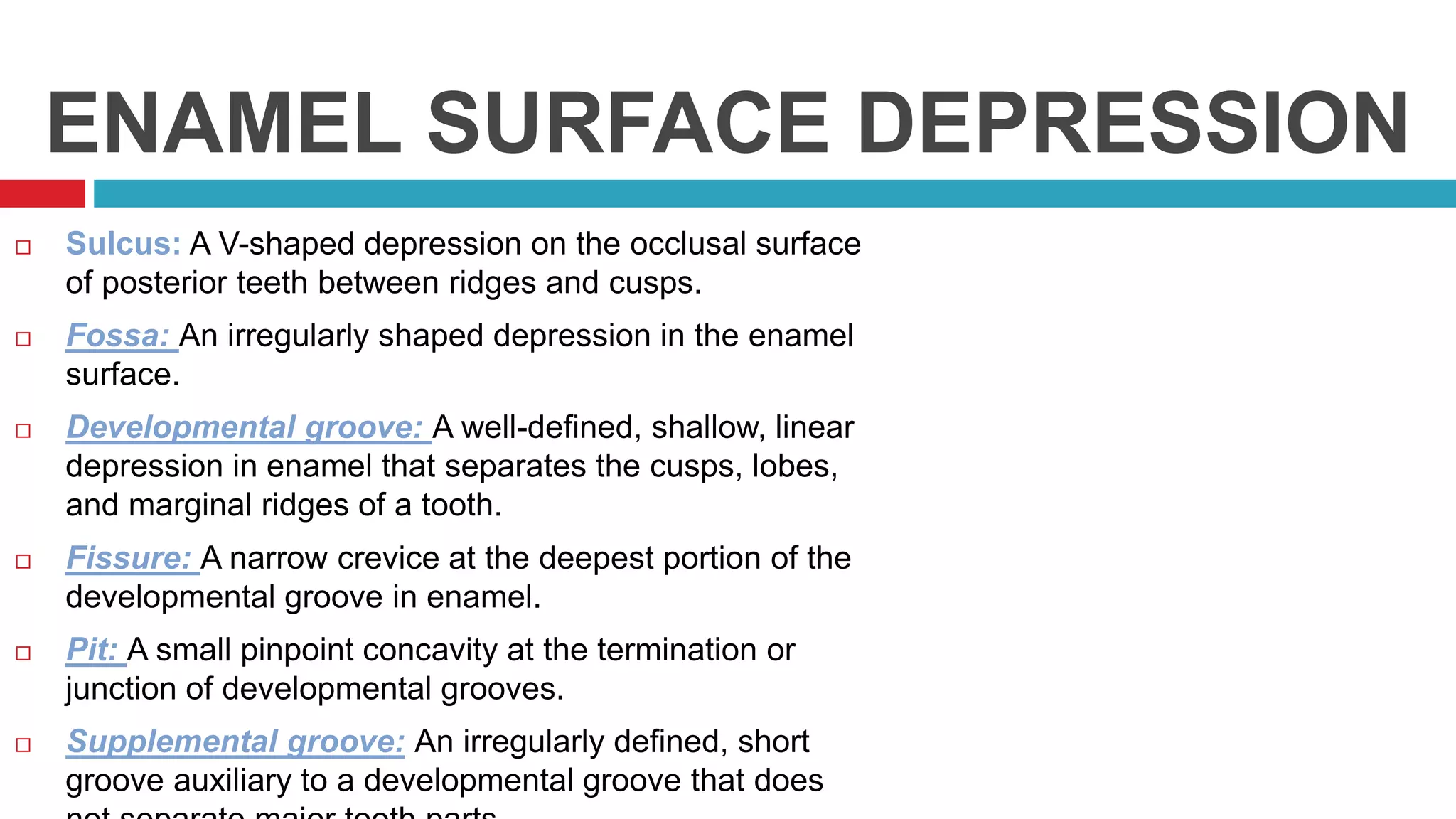 Morphology of human permanent dentition | PPTX