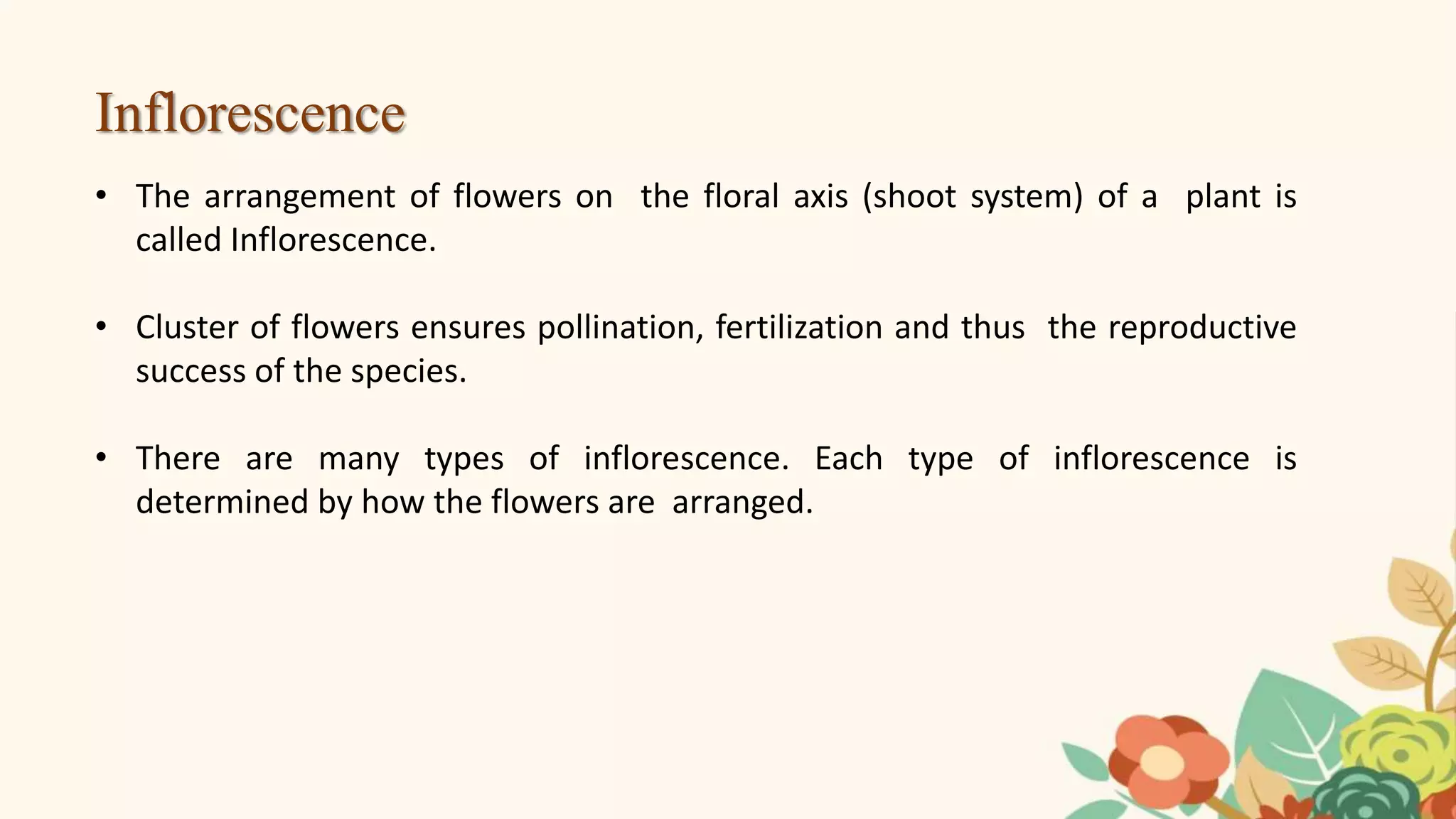 Morphology of inflorescence | PPTX