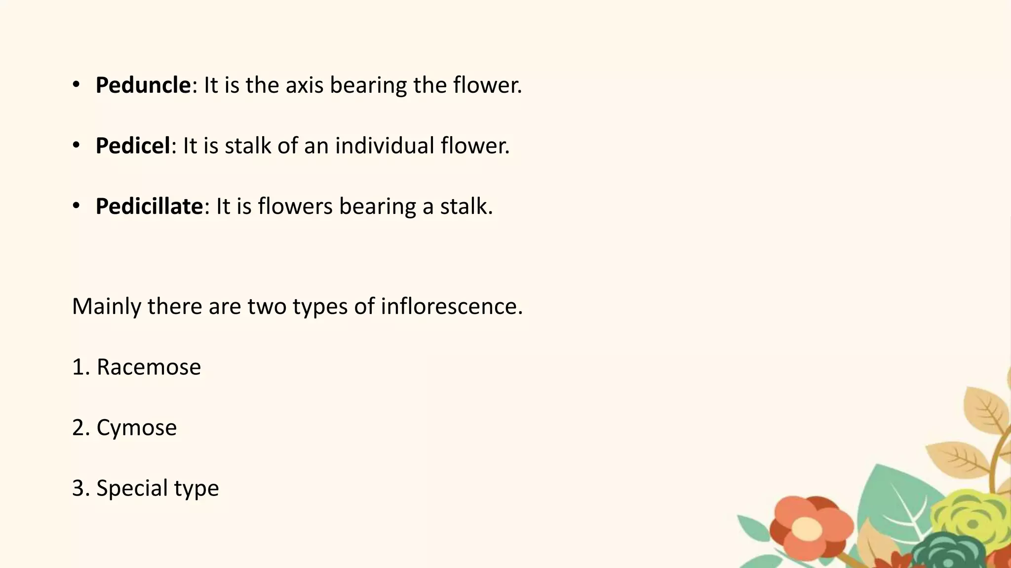 Morphology of inflorescence | PPTX