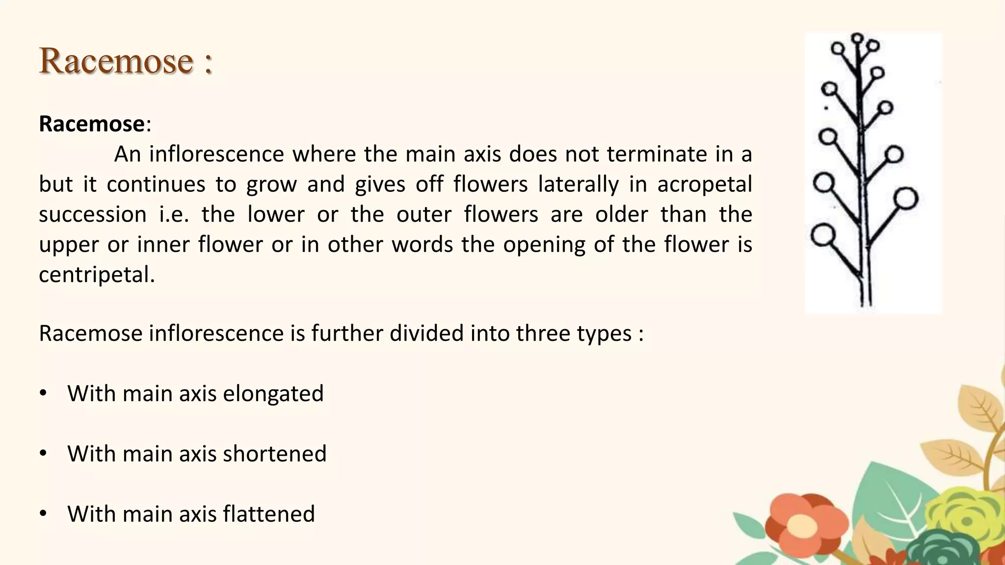 Morphology of inflorescence | PPTX