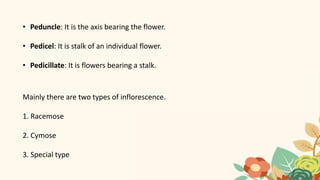 Morphology of inflorescence | PPTX