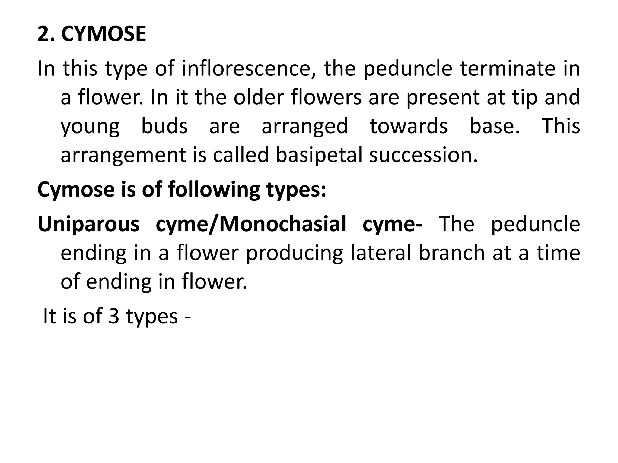 Morphology of Inflorescence.pptx