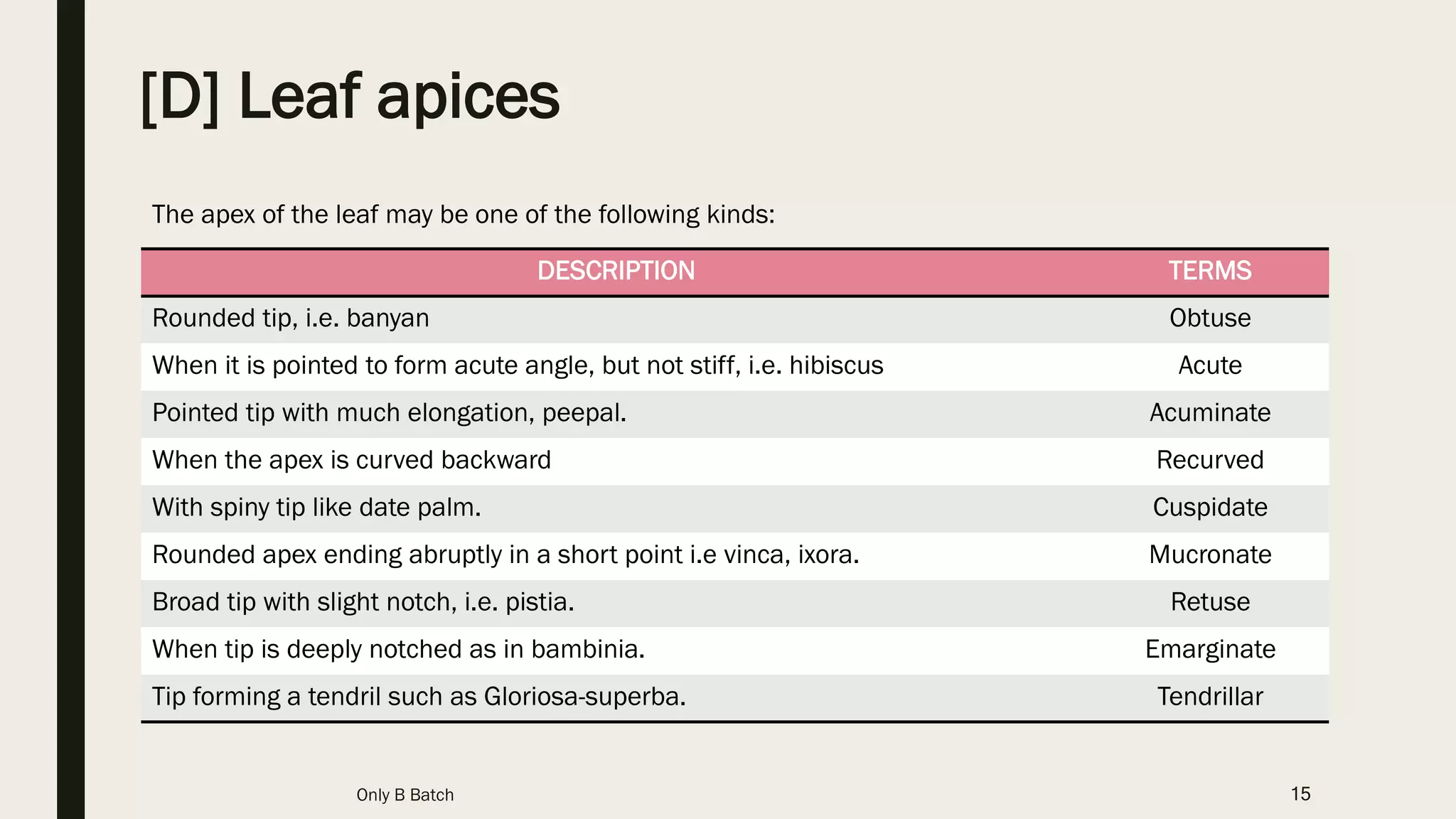Morphology of leaf | PDF
