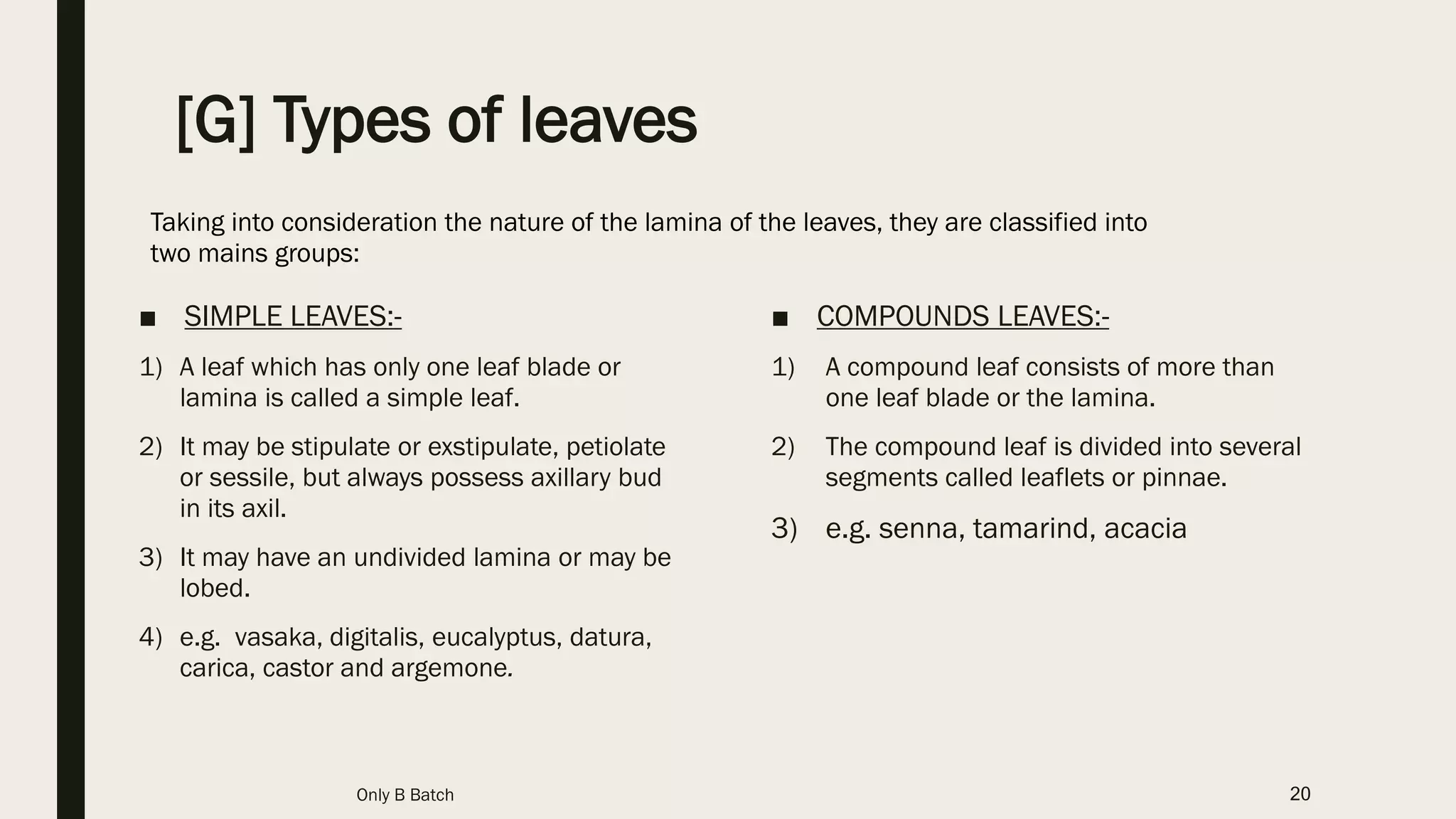 Morphology of leaf | PDF