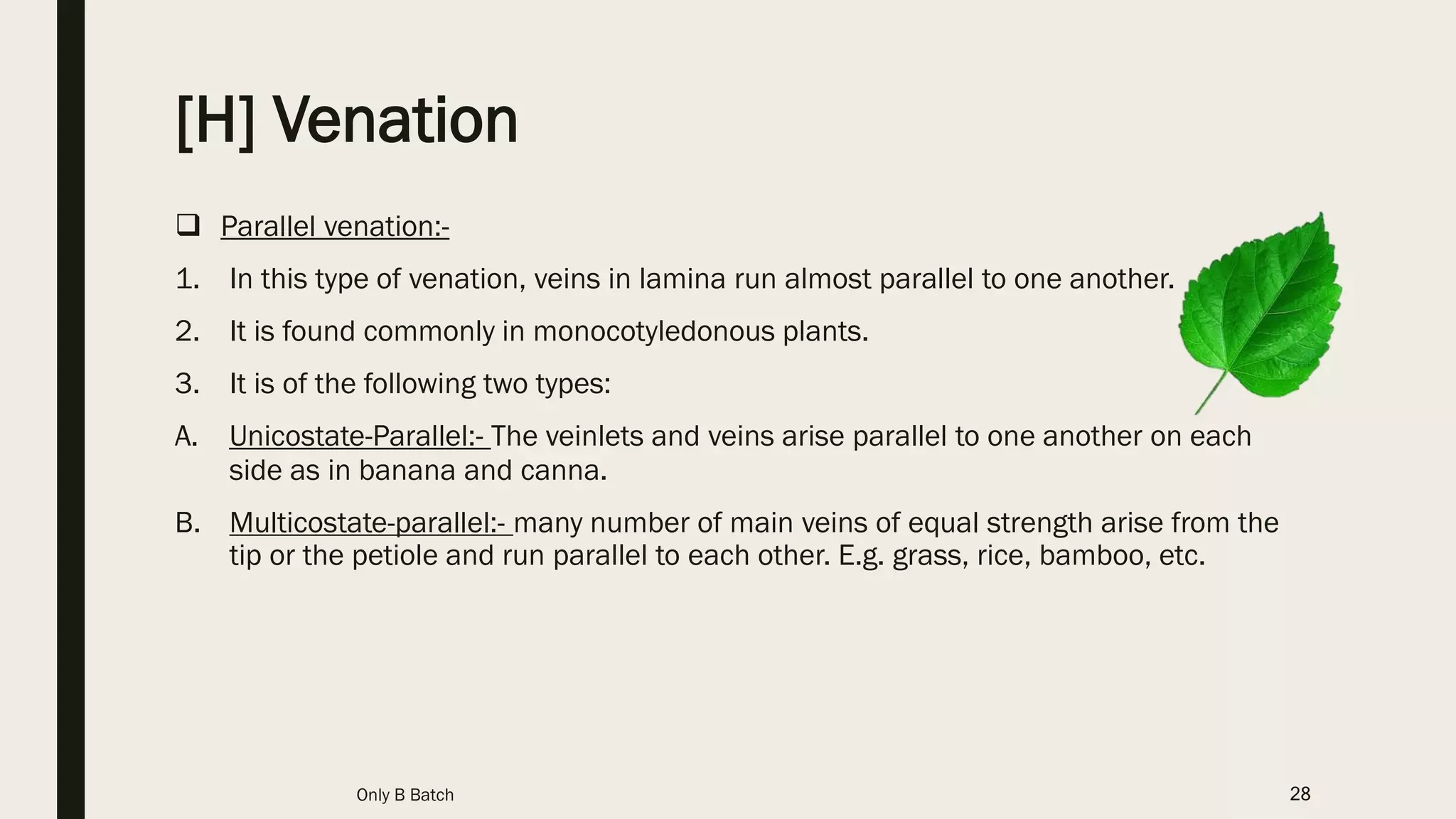 Morphology of leaf | PDF