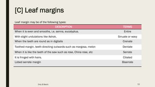 Morphology of leaf | PDF
