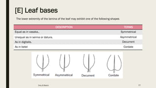 Morphology of leaf | PDF