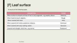Morphology of leaf | PDF