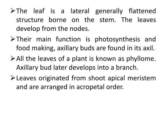 Morphology of Leaf.pptx | Gardening | Home & Garden