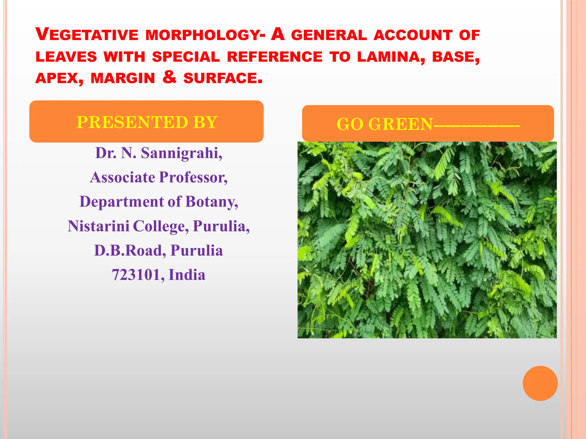 Morphology of Leaf with special reference to leaf shape, surface ...