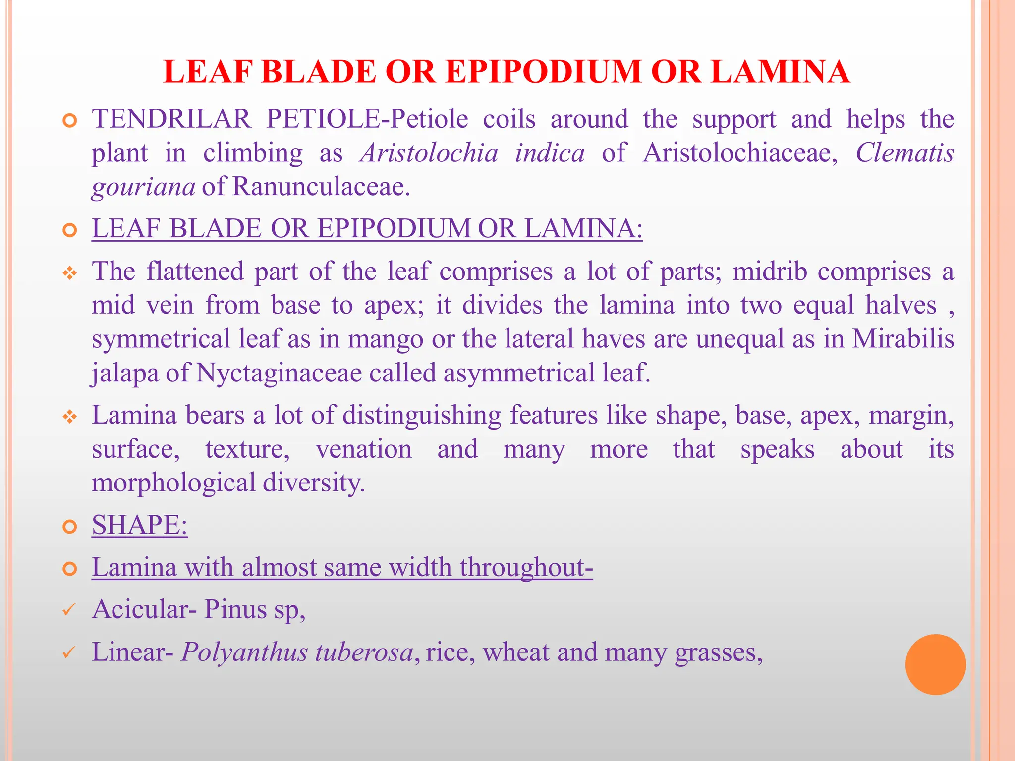 Morphology of Leaf with special reference to leaf shape, surface ...