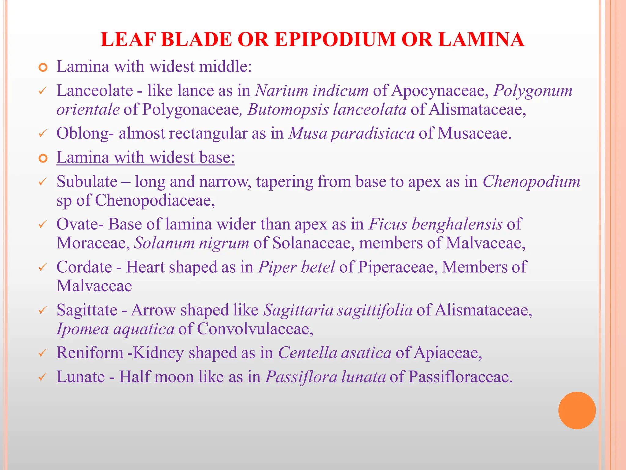 Morphology of Leaf with special reference to leaf shape, surface ...