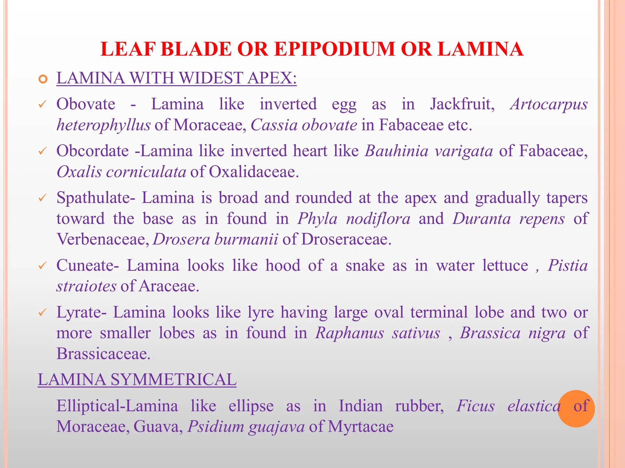 Morphology of Leaf with special reference to leaf shape, surface ...