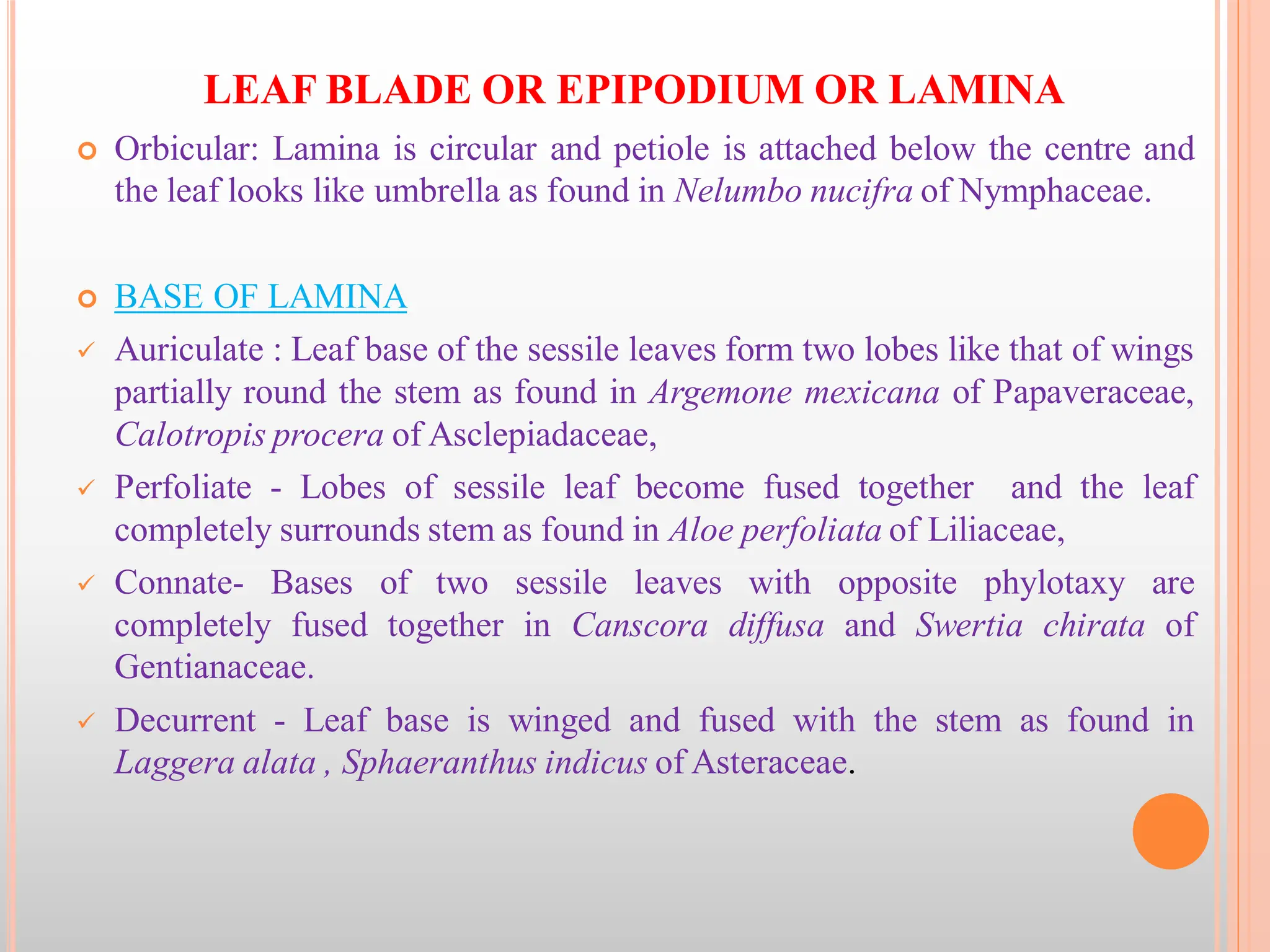 Morphology of Leaf with special reference to leaf shape, surface ...