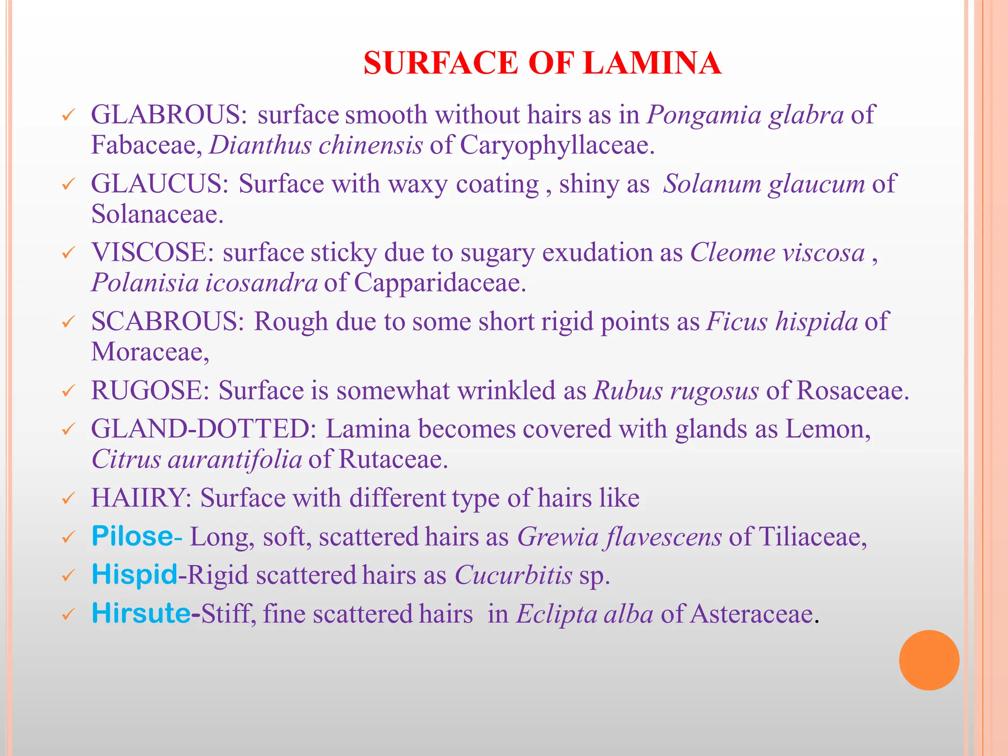 Morphology of Leaf with special reference to leaf shape, surface ...