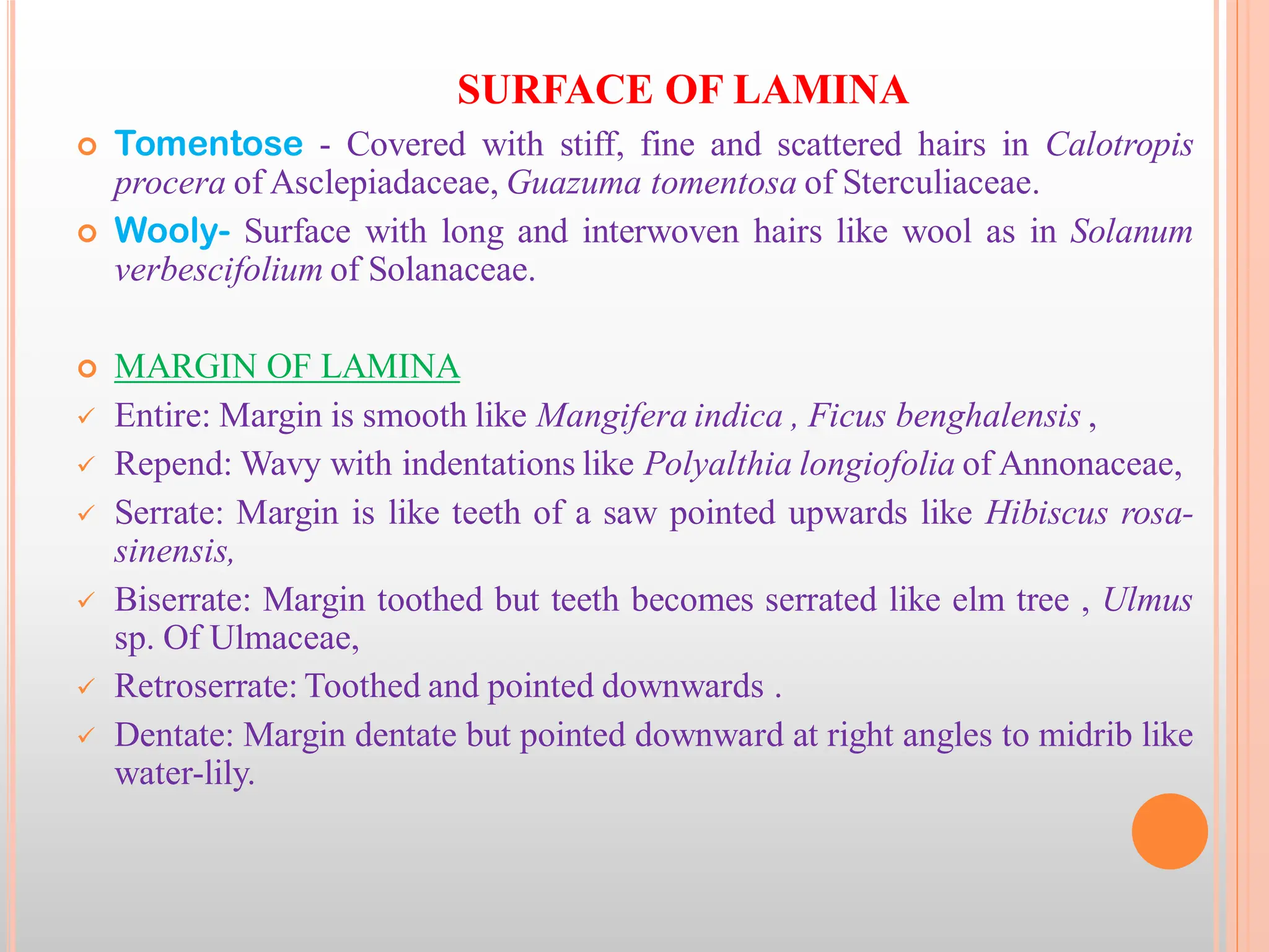 Morphology of Leaf with special reference to leaf shape, surface ...