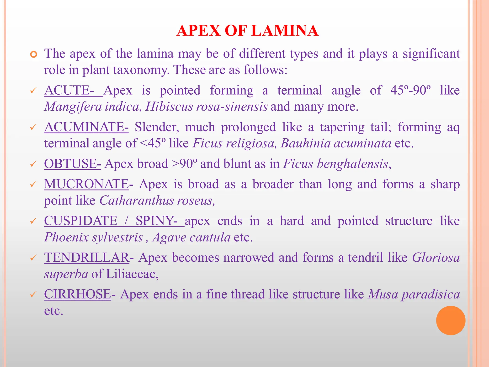 Morphology of Leaf with special reference to leaf shape, surface ...