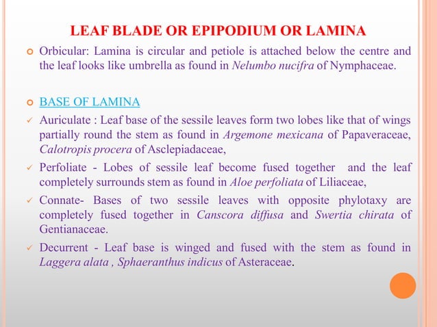 Morphology of Leaf with special reference to leaf shape, surface ...