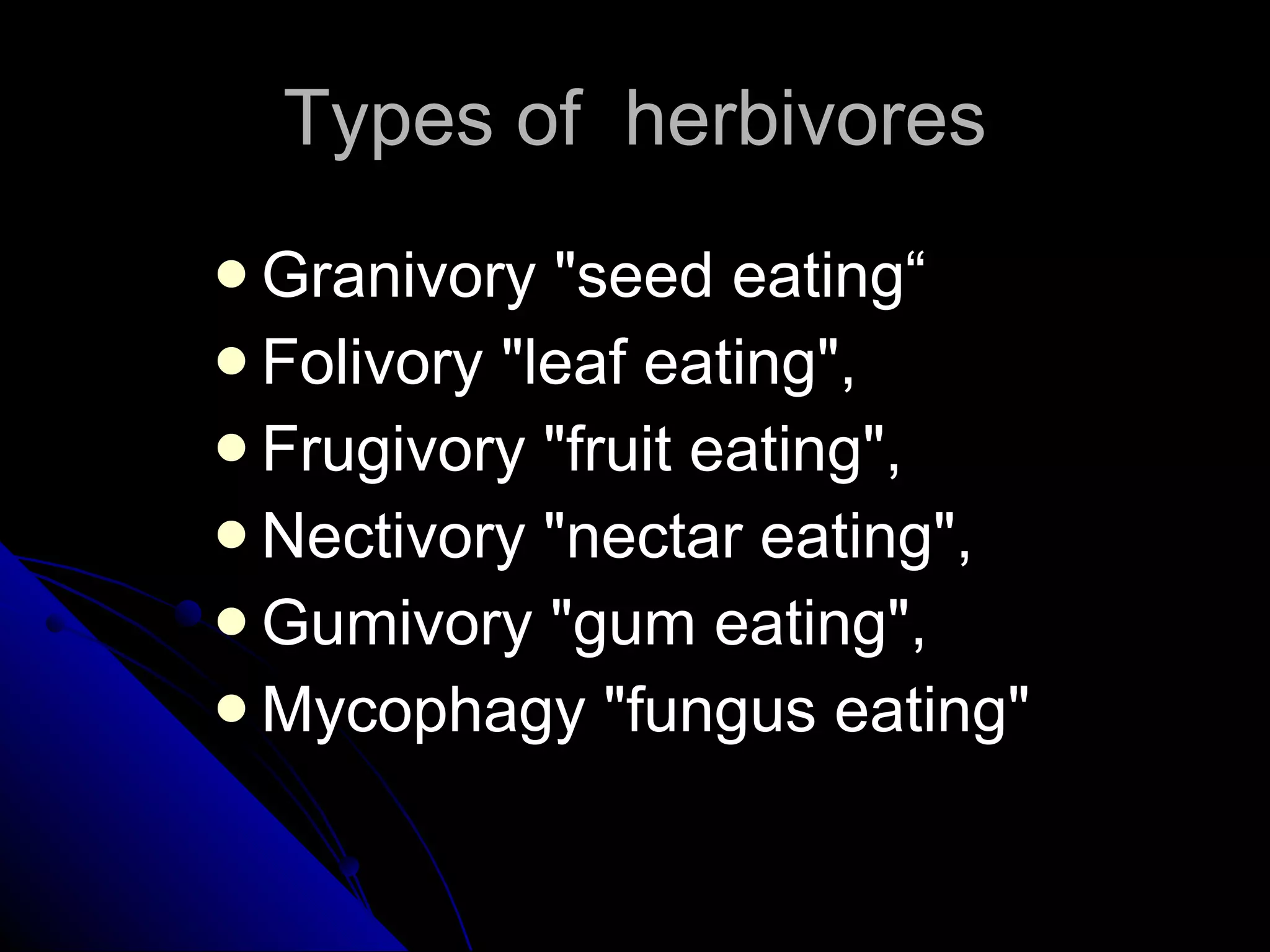 Morphology Of Mammals | PPT