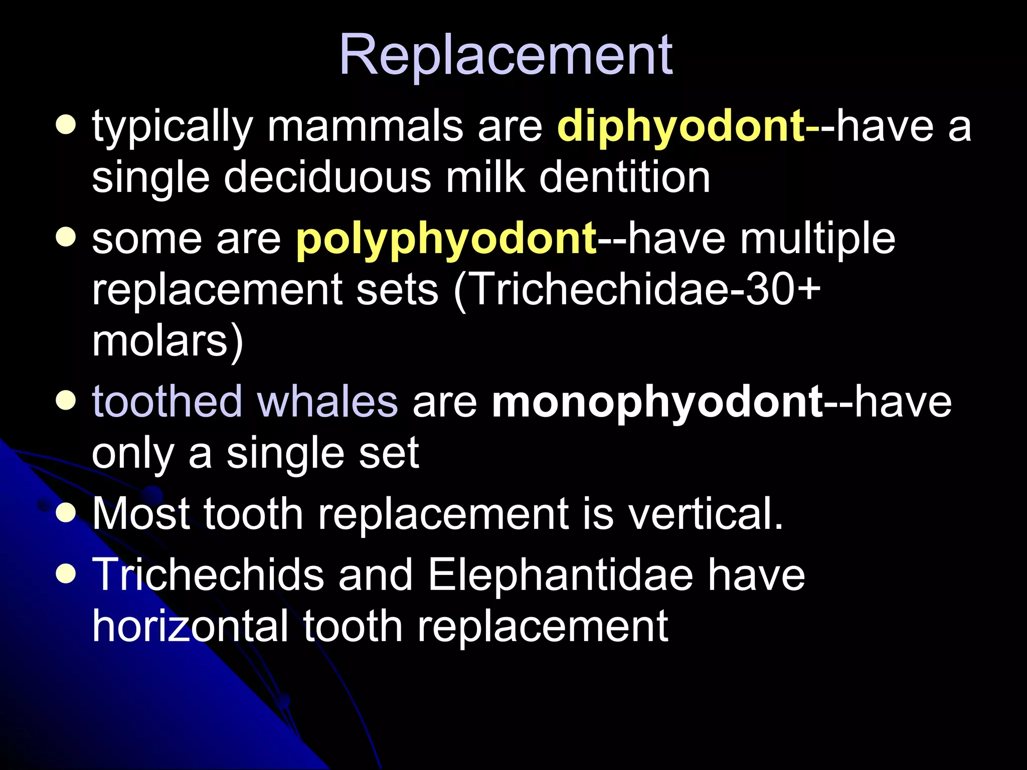 Morphology Of Mammals | PPT