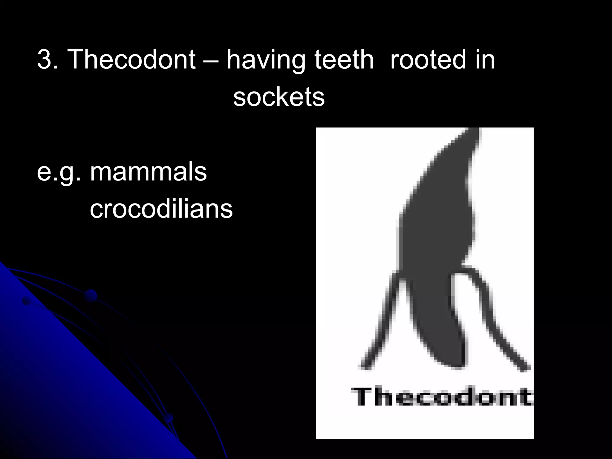 Morphology Of Mammals | PPT