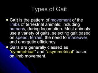 Morphology Of Mammals | PPT