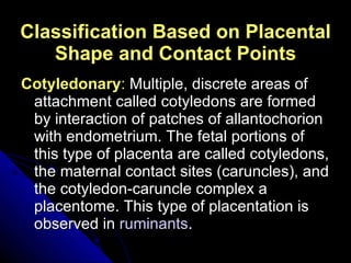 Morphology Of Mammals | PPT