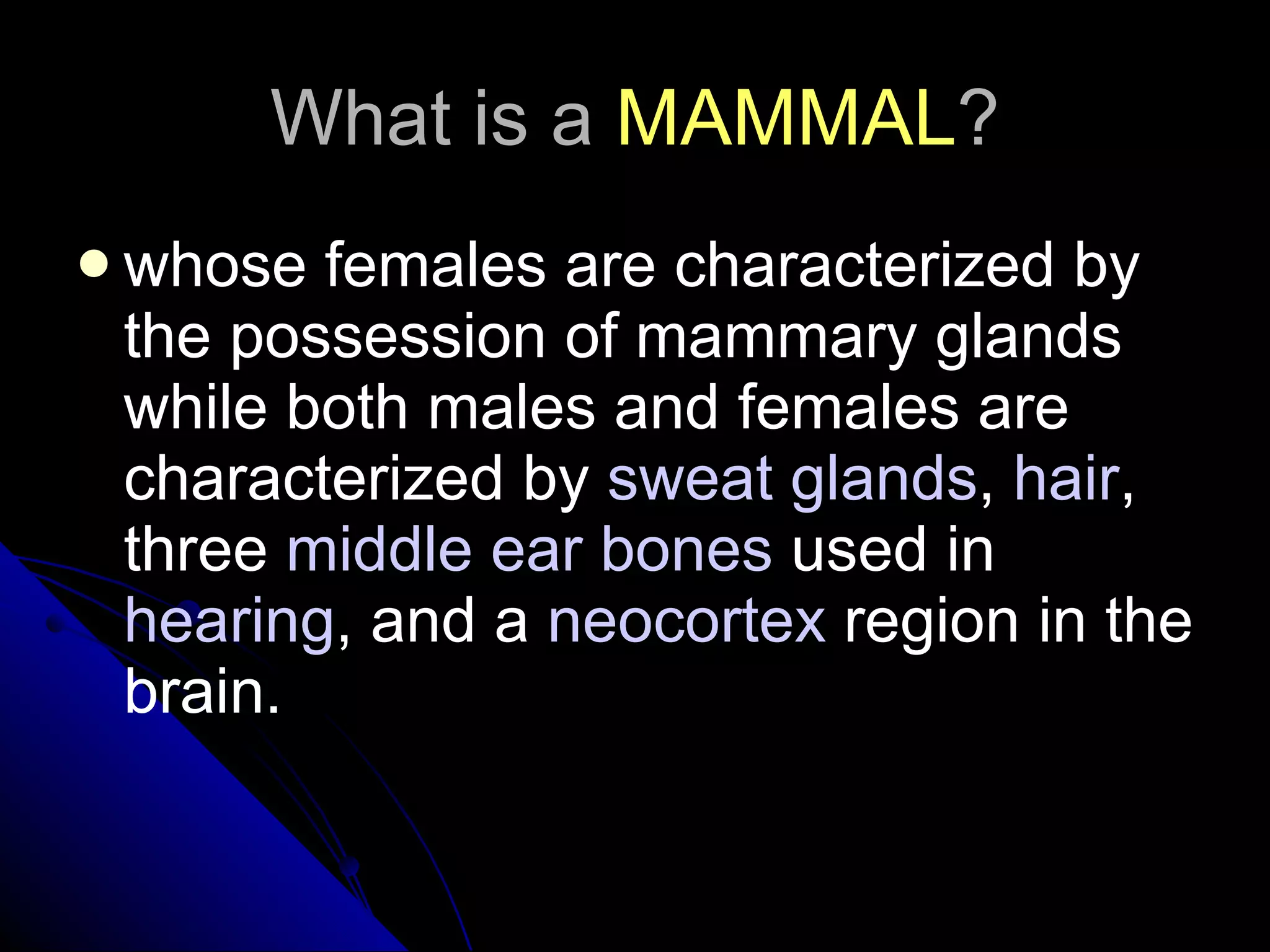 Morphology Of Mammals | PPT