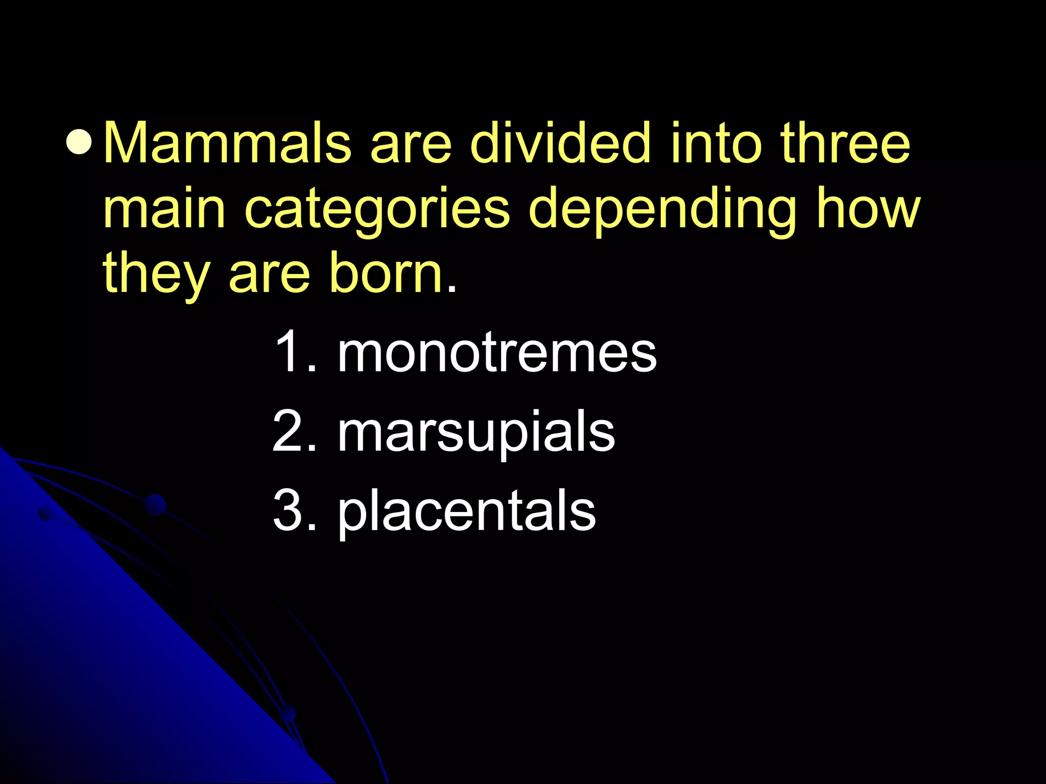 Morphology Of Mammals | PPT