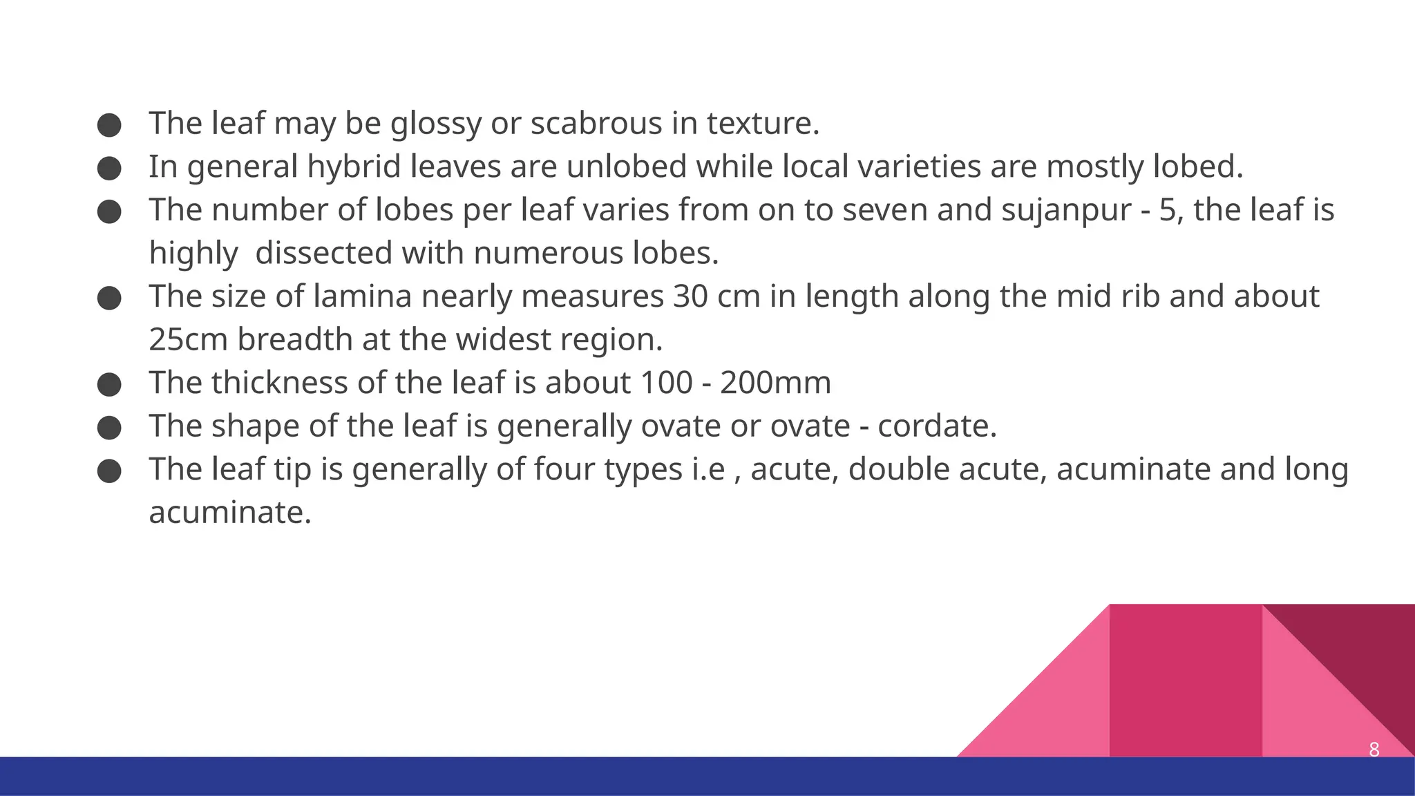 Mulberry plant - Morphology, plant parts, pptx | PPTX
