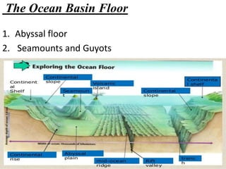 Morphology of ocean floor | PPTX