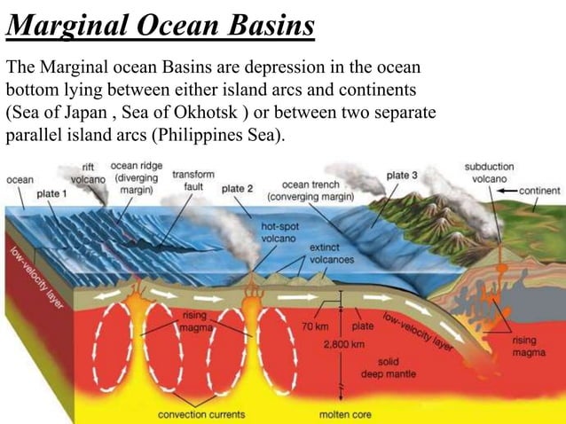 Morphology of ocean floor | PPTX | Geography | Science