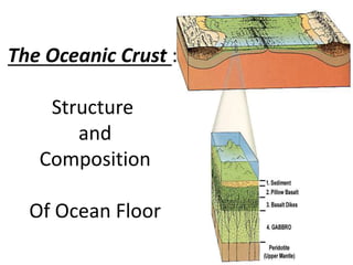 Morphology of ocean floor | PPTX