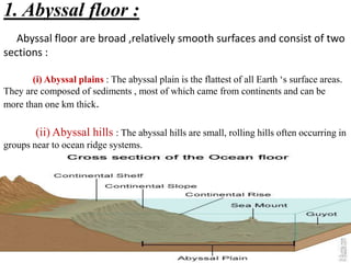 Abyssal Plain Definition