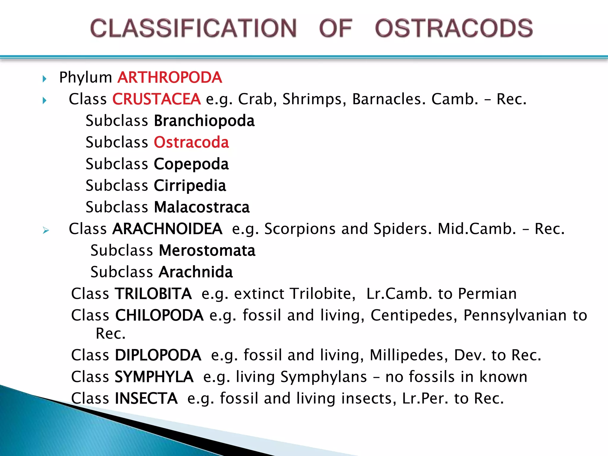 Morphology of ostracods | PPTX