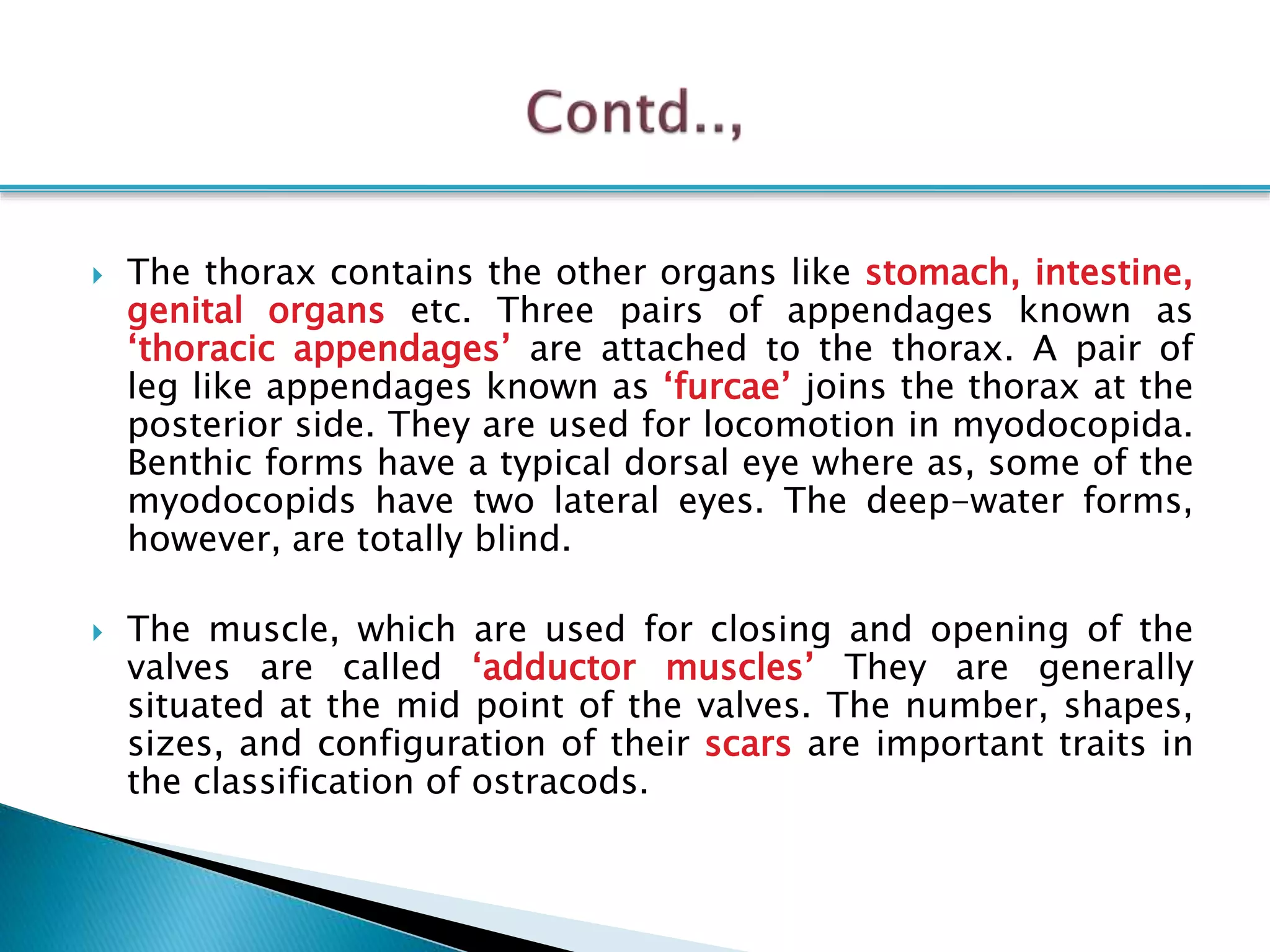 Morphology of ostracods | PPTX