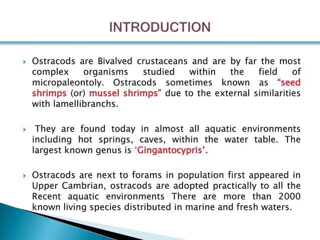 Morphology of ostracods | PPTX | Geology | Science