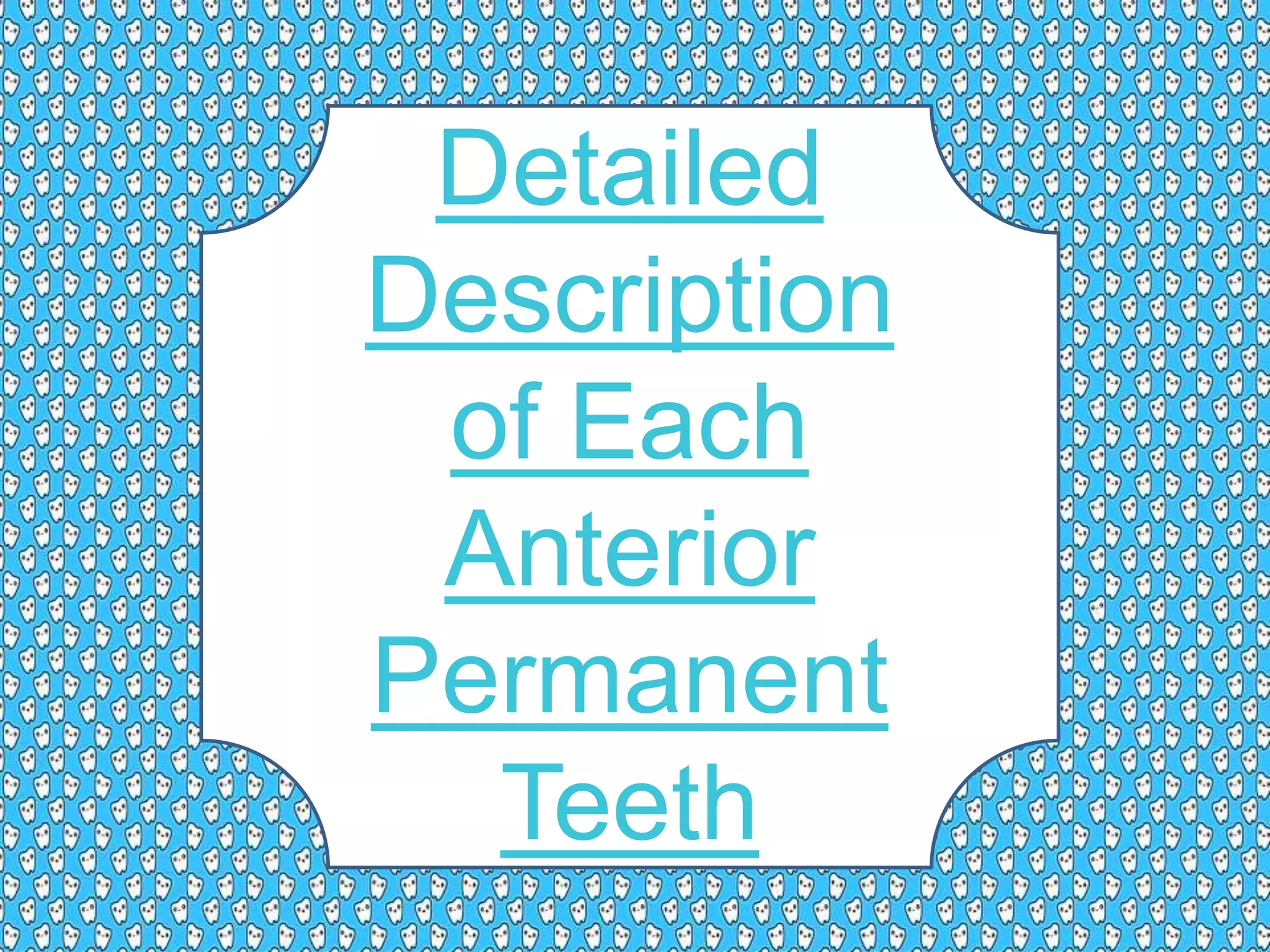 morphology of permanent teeth.pptx